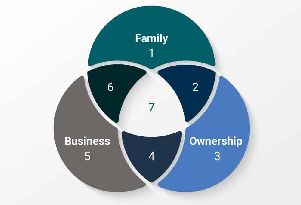 Three Circle Model of a Family Business | Family Business Network Czech Three Circle Model of a Family Business | Family Business Network Czech